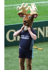 photo_teddingtonrugby_mascot1_right - Teddington, Middlesex, UK